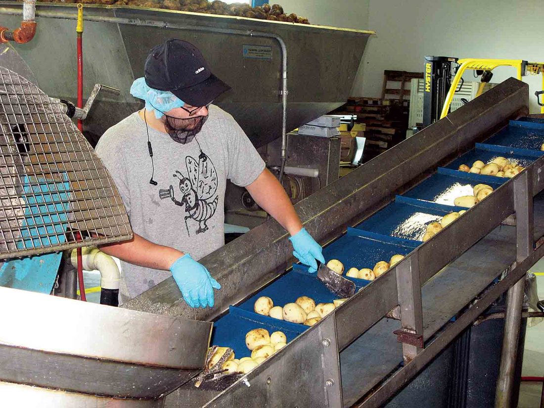 Hive of Activity: A behind-the-scenes look at Mister Bee | News, Sports ...